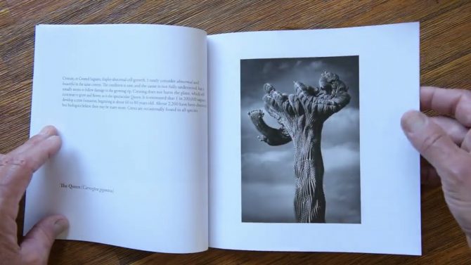 maxresdefault | On Landscape