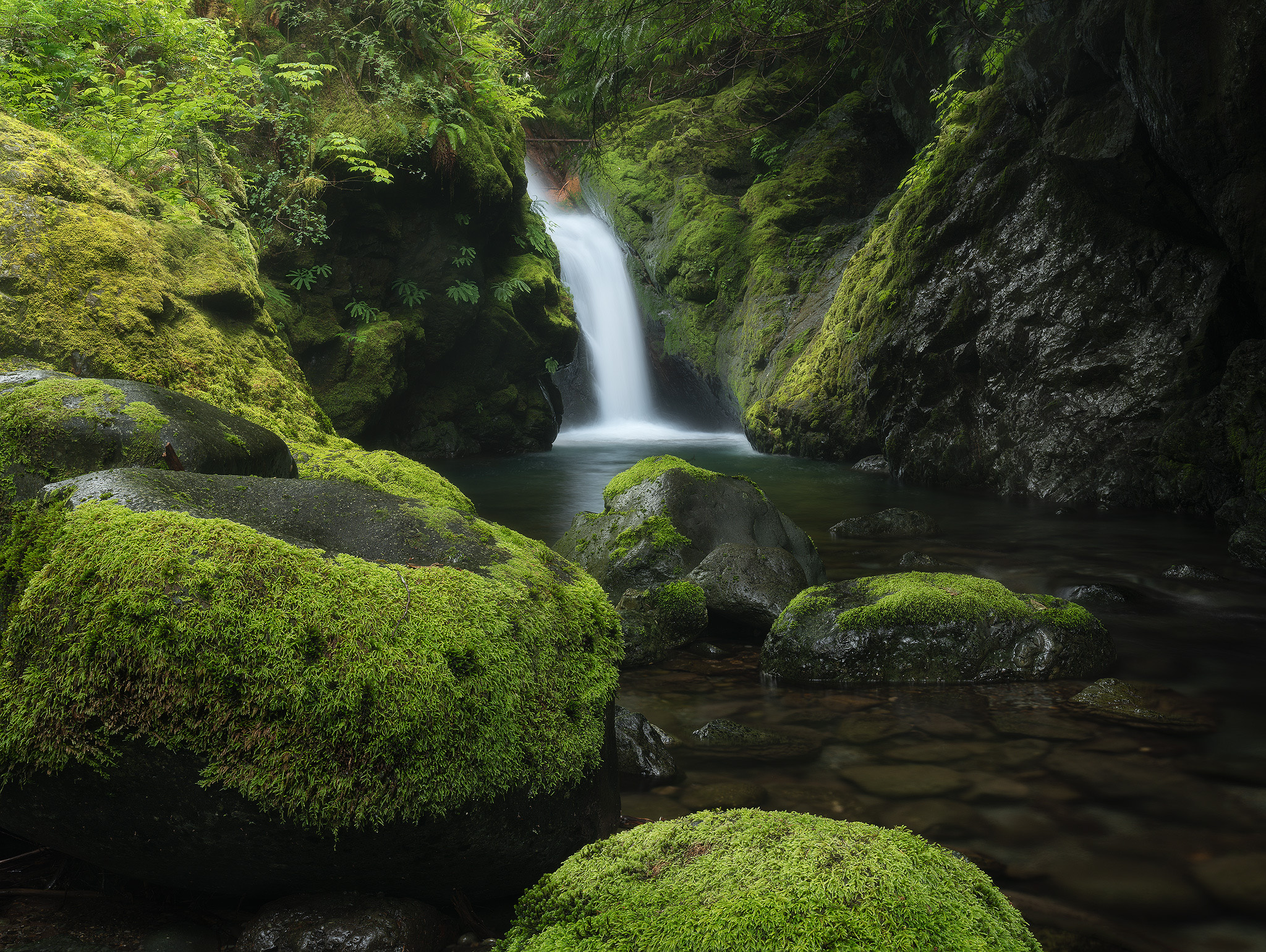 Verdant-Falls | On Landscape