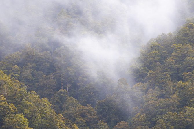Sarah-Marino-New-Zealand-Article-10 | On Landscape