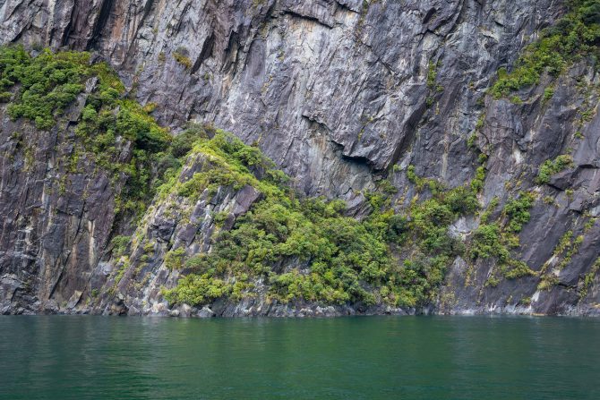 Sarah-Marino-New-Zealand-Article-18 | On Landscape