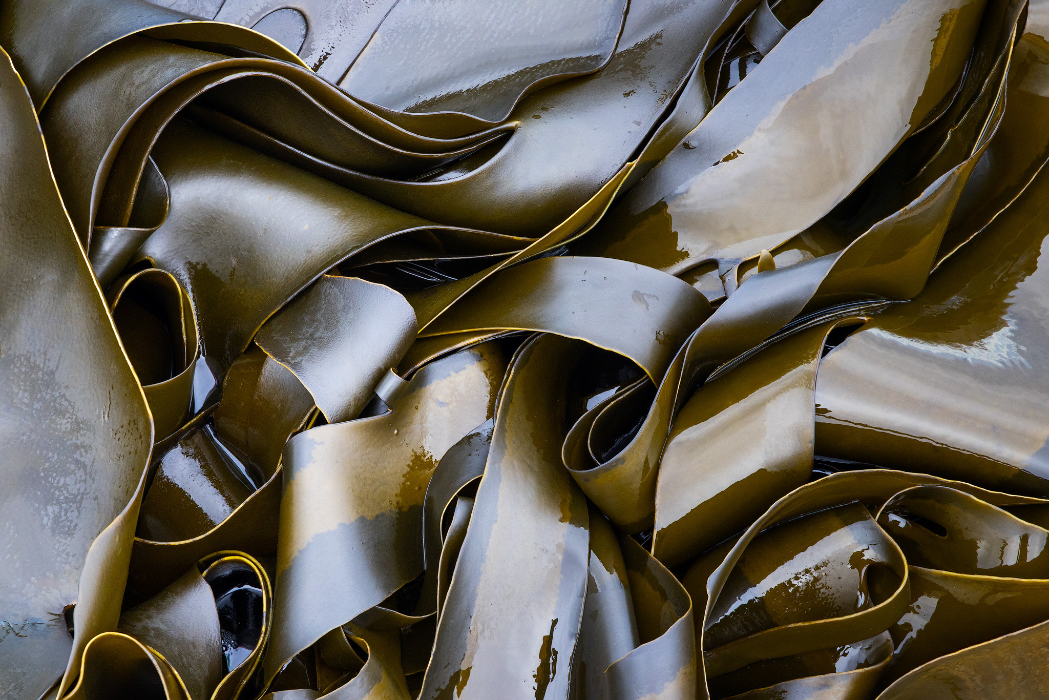 Sarah-Marino-New-Zealand-Article-20 | On Landscape