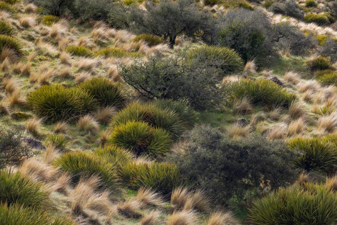 Sarah-Marino-New-Zealand-Article-23 | On Landscape